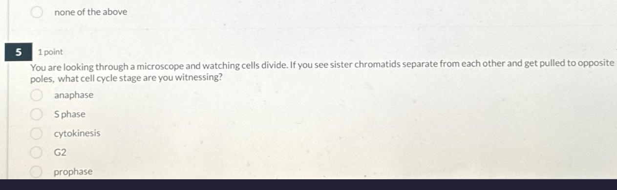 Solved none of the above5 ﻿pointYou are looking through a | Chegg.com