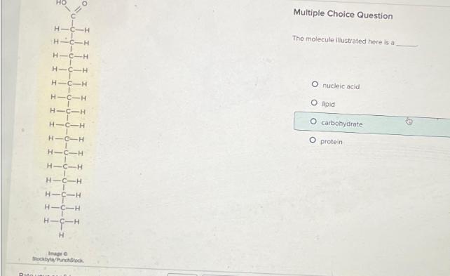 Solved Multiple Choice QuestionThe molecule illustrated here | Chegg.com