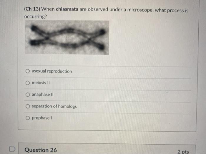 Solved (Ch 13) When chiasmata are observed under a | Chegg.com