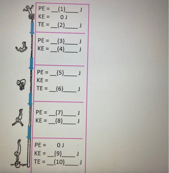 Solved PE = (1) KE = 0] TE = (2) PE = _ KE = (4) PE = _(5) | Chegg.com