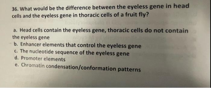 Solved 36. What would be the difference between the eyeless | Chegg.com