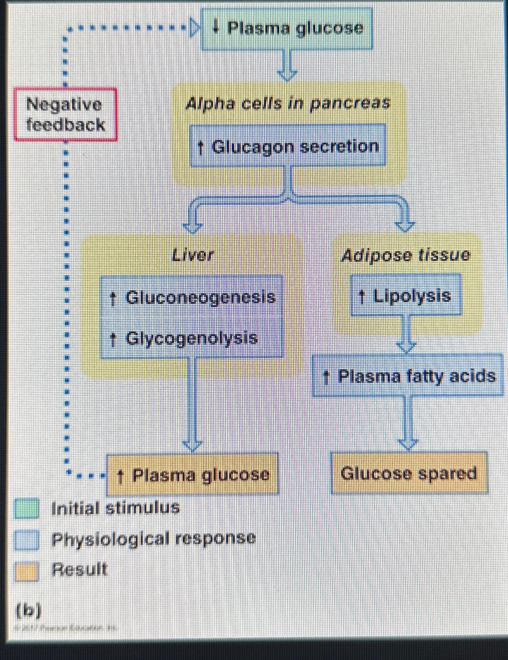 Solved What is the regulated variable? | Chegg.com