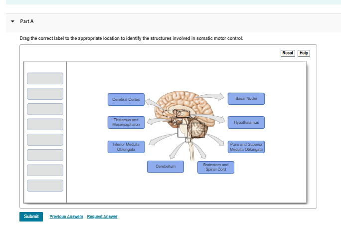 Solved please label. Drag the correct label to the | Chegg.com