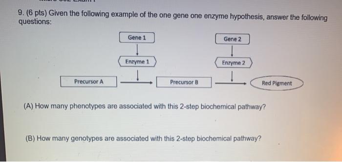Solved 9. (6 pts) Given the following example of the one | Chegg.com