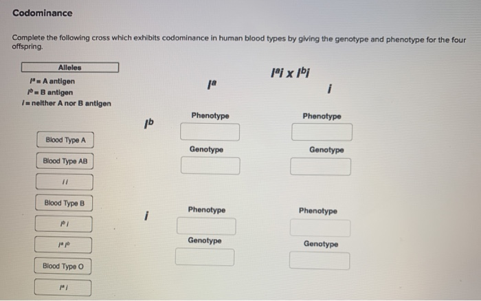Solved Codominance Complete the following cross which | Chegg.com