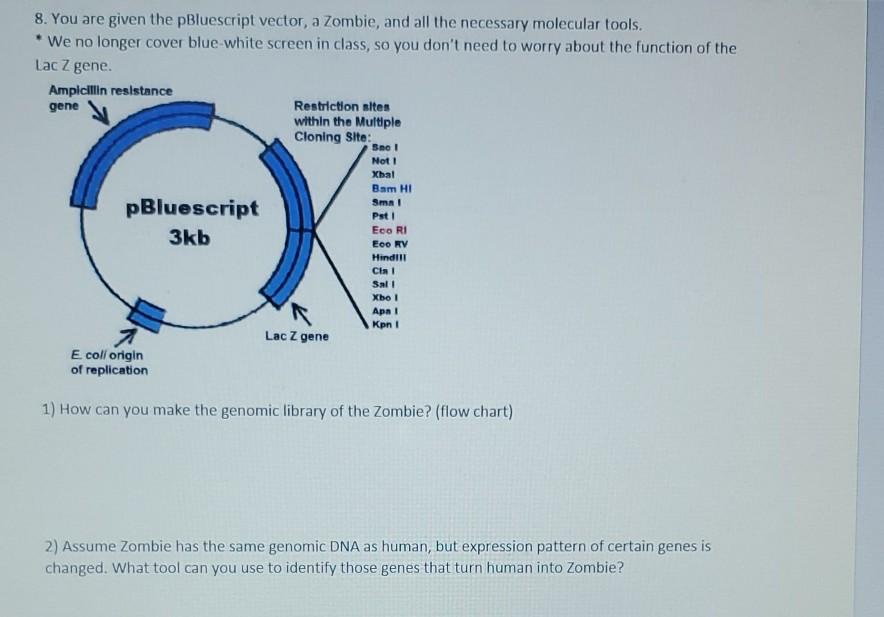 . 8. You are given the pBluescript vector, a Zombie, | Chegg.com