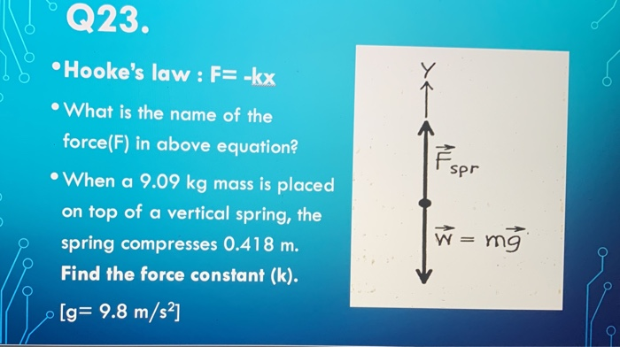 Solved Q23. • Hooke's law : F= -kx Lo Espr • What is the | Chegg.com