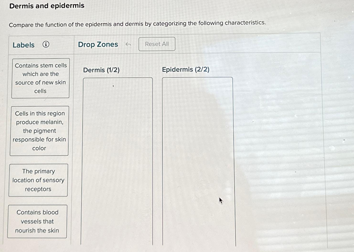 Solved Dermis and epidermisCompare the function of the | Chegg.com