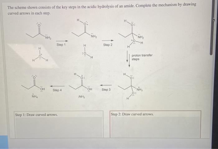 Solved The scheme shown consists of the key steps in the | Chegg.com