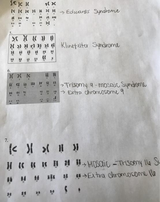 Solved Use karyotype nomenclature, for each diagram. (Total | Chegg.com