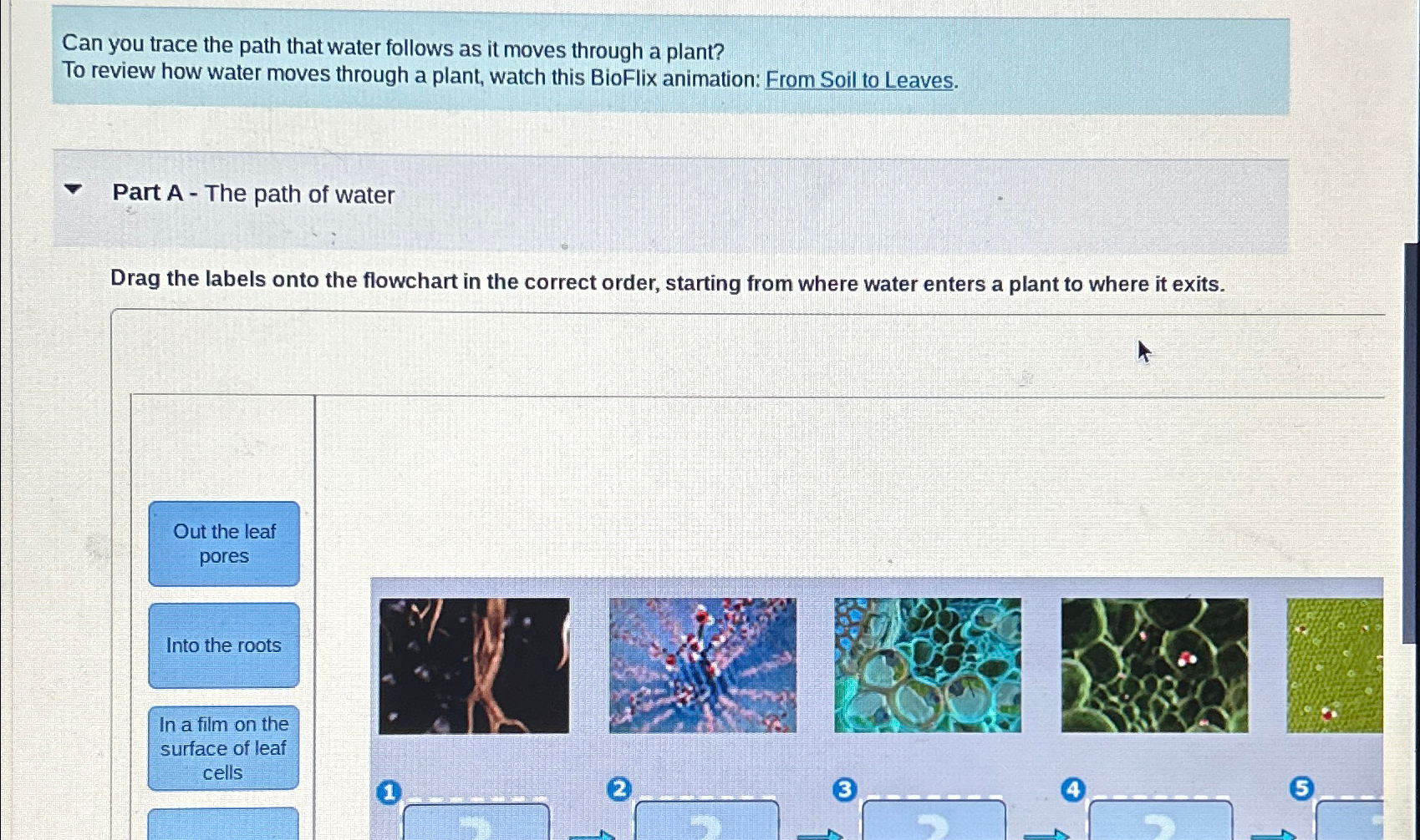 Solved Can you trace the path that water follows as it moves | Chegg.com