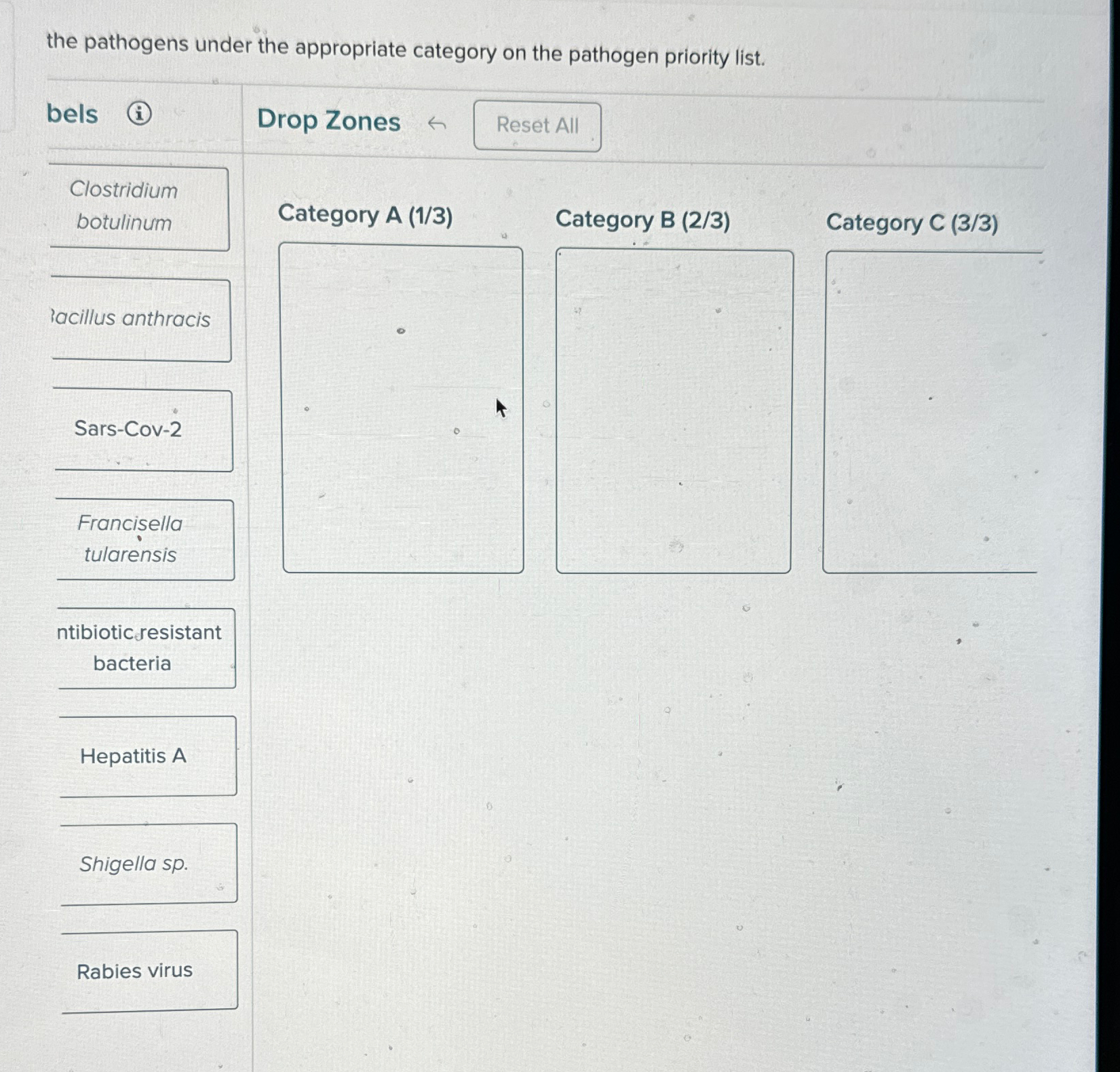 Solved the pathogens under the appropriate category on the | Chegg.com