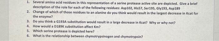 Solved His57 Asp102 His57 P3 P2 Ser195 1. Several amino | Chegg.com