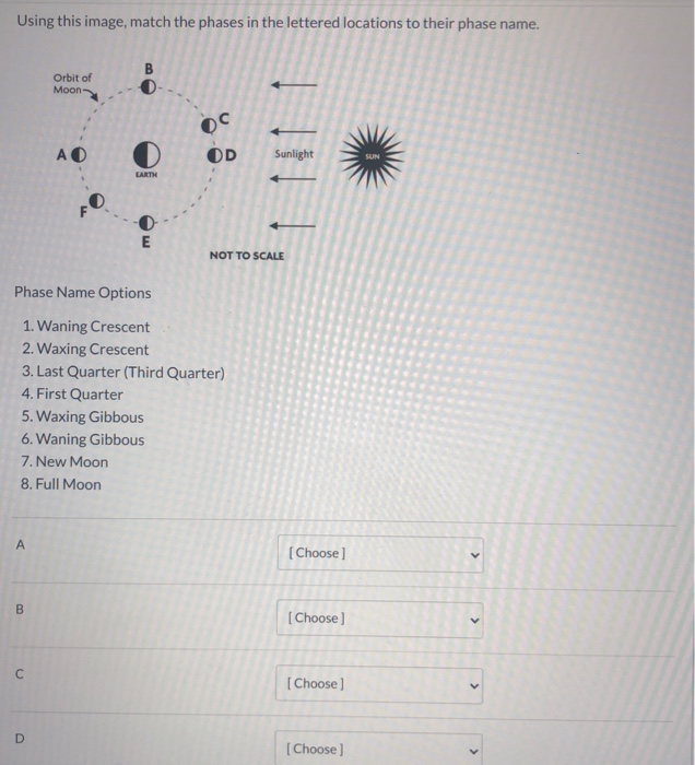 Solved Using this image, match the phases in the lettered | Chegg.com