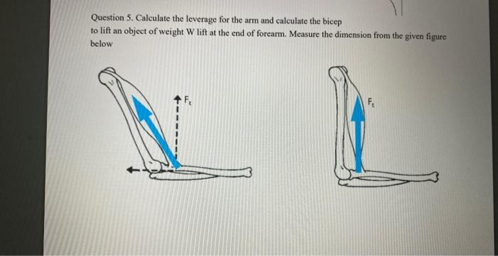 Solved Question 5. Calculate the leverage for the arm and | Chegg.com