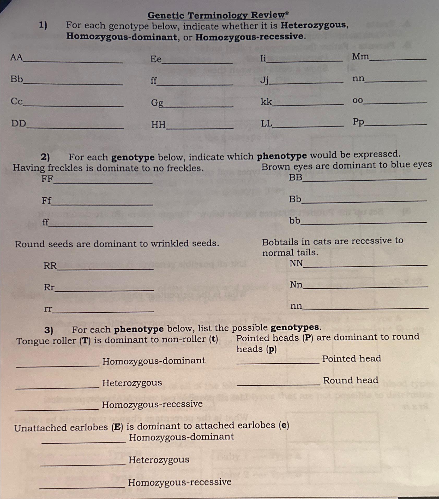Solved Genetic Terminology Review*For each genotype below, | Chegg.com