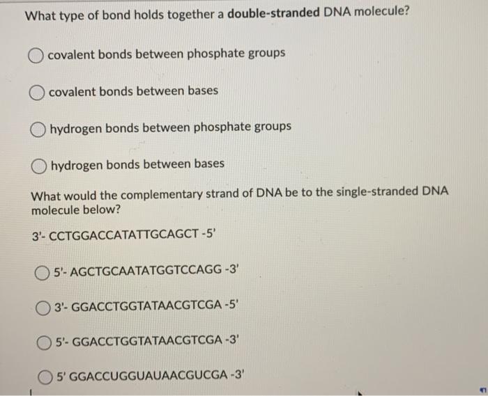 Solved What type of bond holds together a double-stranded | Chegg.com