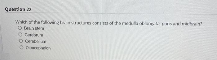 Solved Which of the following brain structures consists of | Chegg.com