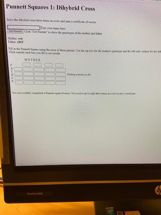 Solved Punnett Squares 1: Dihybrid Cross Solve the dihybrid | Chegg.com