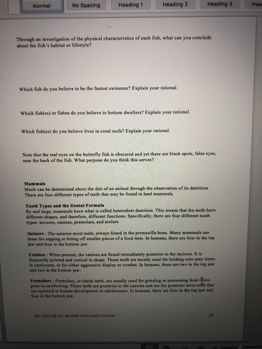 Solved AaBbCcDdEe AaBbCcDdEe AaBbc AdBoccudte AaBbCcDc | Chegg.com