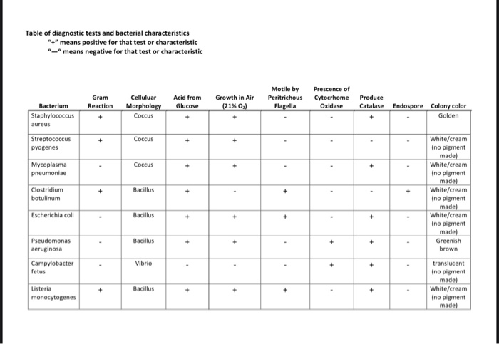 Dichotomous Keys 1. Flow chart that groups organisms | Chegg.com