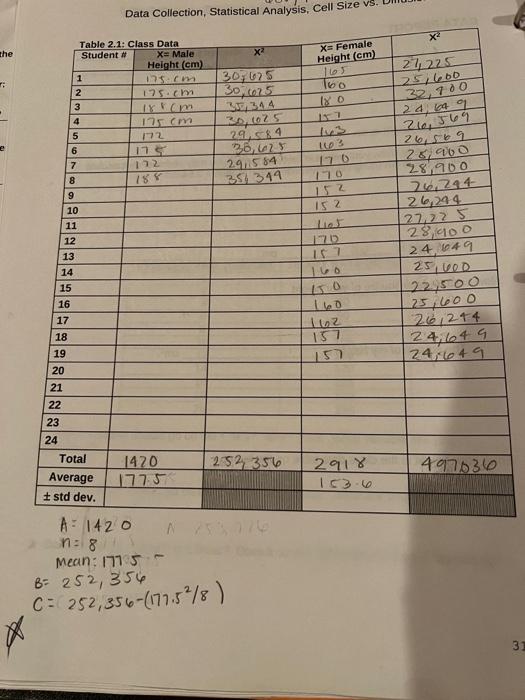 Data Collection Statistical Analysis Cell Size 