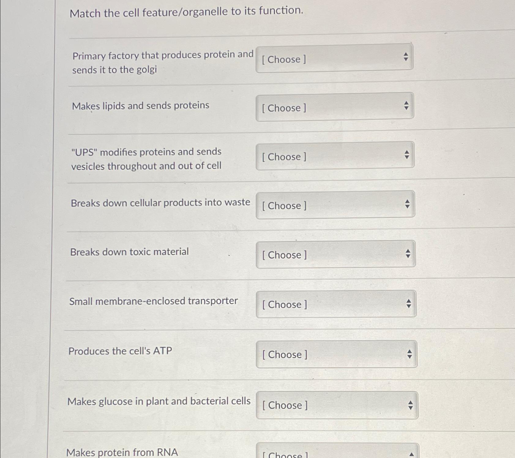Solved Match the cell feature/organelle to its | Chegg.com