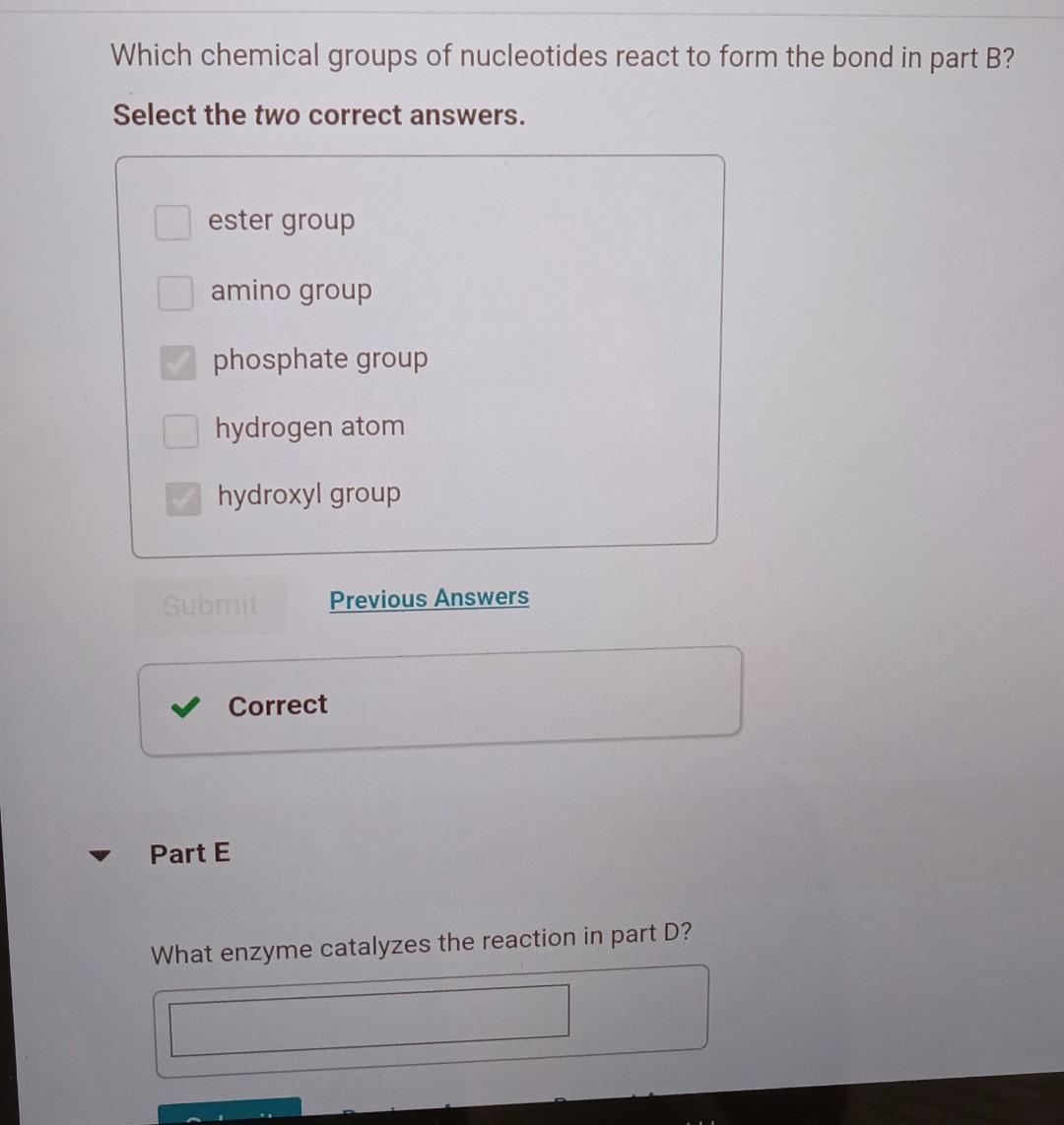 Solved What enzyme catalyzes the reaction in part D? | Chegg.com