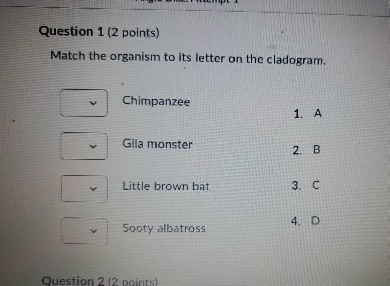 Solved Use the following table to construct a cladogram. The | Chegg.com