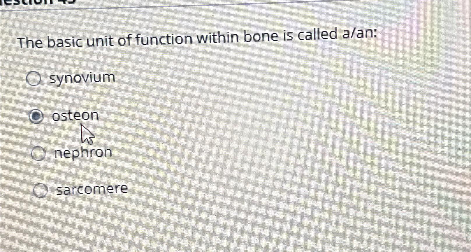 Solved The basic unit of function within bone is called | Chegg.com