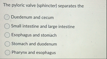 Solved The pyloric valve (sphincter) ﻿separates theDuedenum | Chegg.com