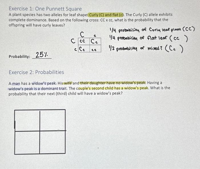 Solved Exercise 1: One Punnett Square A plant species has | Chegg.com