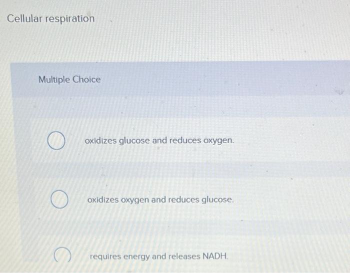 Solved Cellular respiration Multiple Choice O oxidizes | Chegg.com