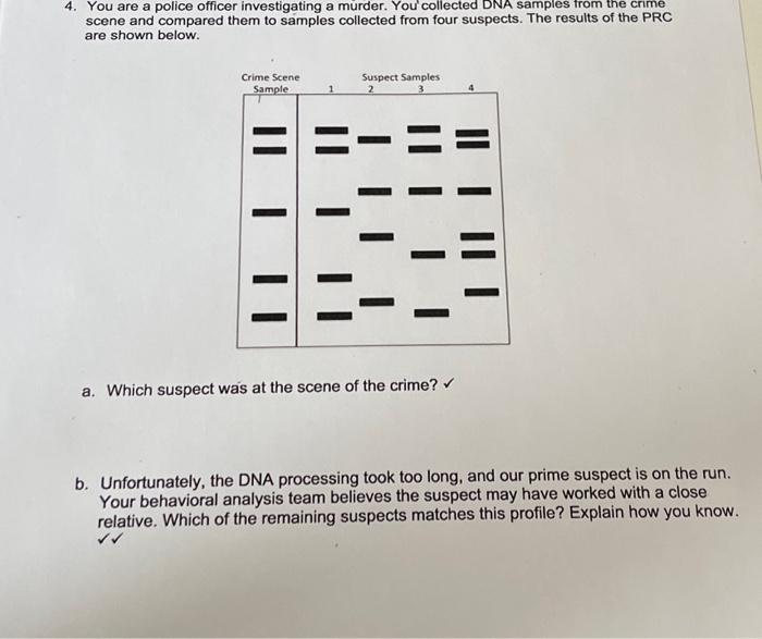 Solved 4. You are a police officer investigating a murder. | Chegg.com