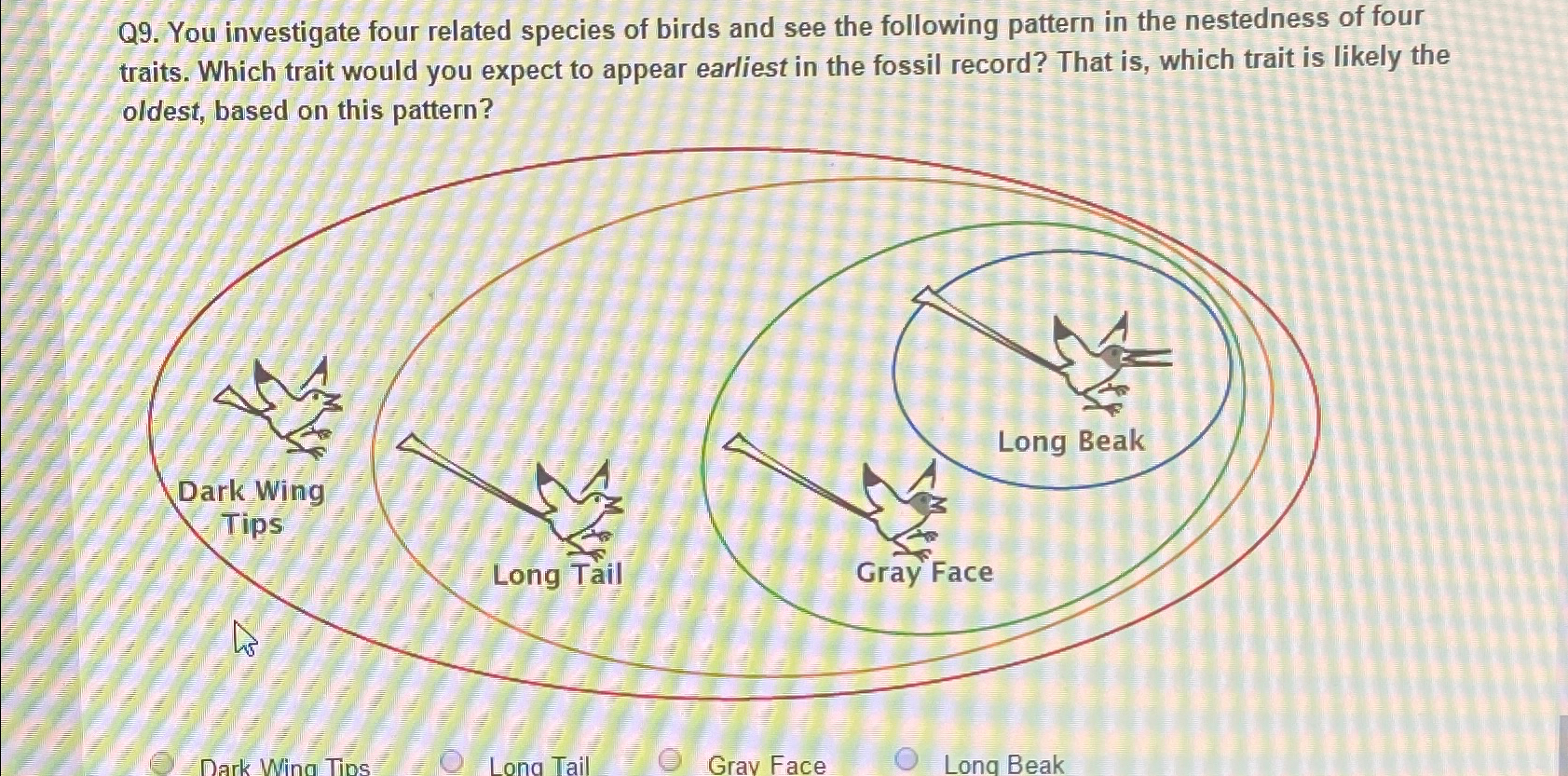 Solved Q9. ﻿You investigate four related species of birds | Chegg.com