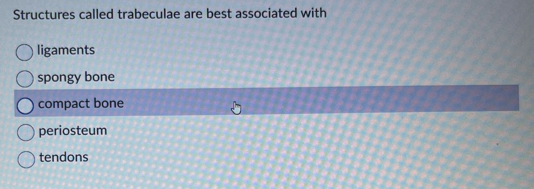 Solved Structures called trabeculae are best associated | Chegg.com