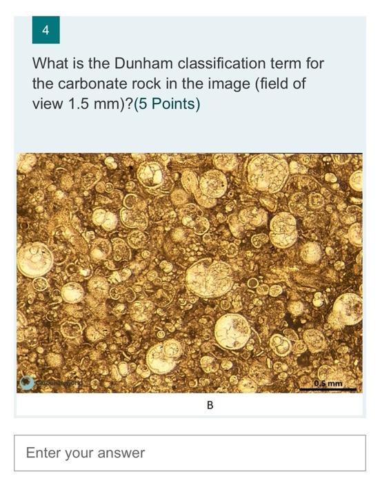 Solved What is the Dunham classification term for the | Chegg.com