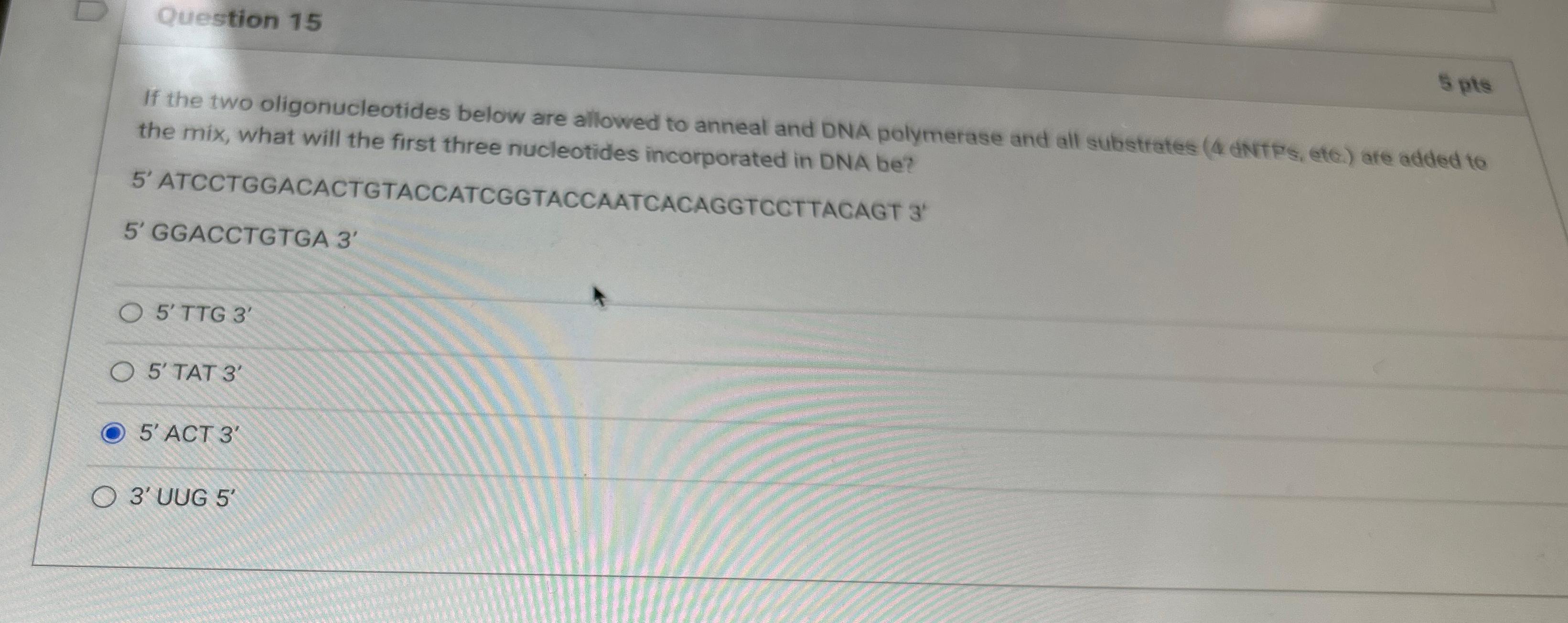 Solved Question 155 ﻿ptsIf the two oligonucleotides below | Chegg.com