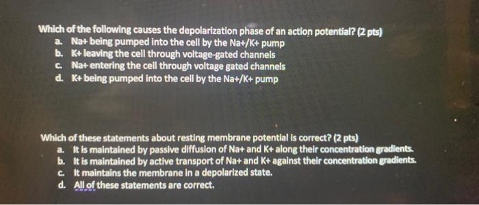 Solved Which of the following causes the depolarization | Chegg.com