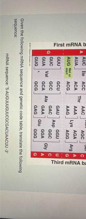 Solved Given the following mRNA sequence and genetic code | Chegg.com