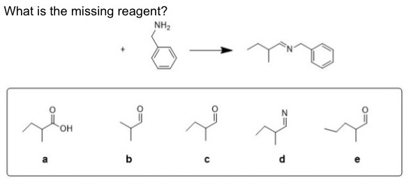 Solved What is the most likely final product? NH2 2.Ni, H2 | Chegg.com
