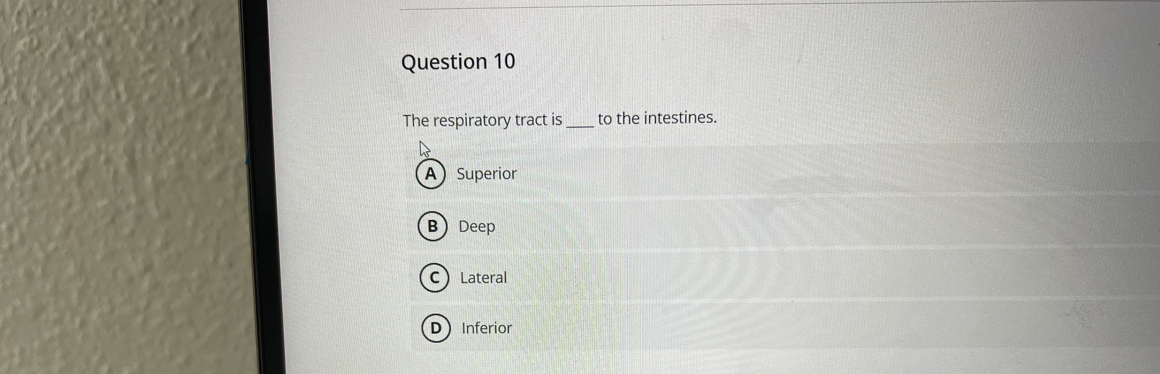 Solved Question 10The respiratory tract is q, ﻿to the | Chegg.com