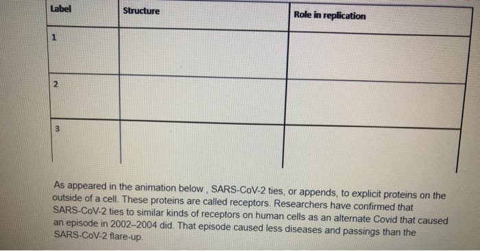 Solved The outline beneath represents a SARS-CoV-2 | Chegg.com