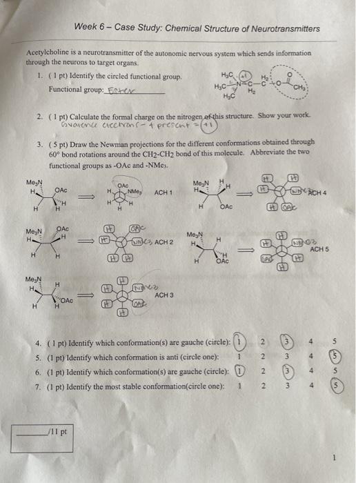 Solved Week 6 - Case Study: Chemical Structure of | Chegg.com