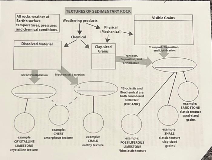 Solved TEXTURES OF SEDIMENTARY ROCK All rocks weather at | Chegg.com