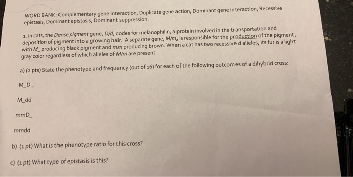 Solved WORD BANK: Complementary gene interaction, Duplicate | Chegg.com