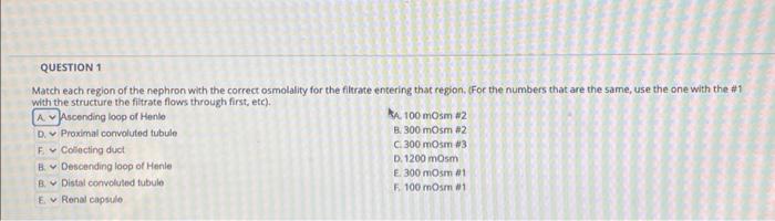 Solved Match each region of the nephron with the correct | Chegg.com
