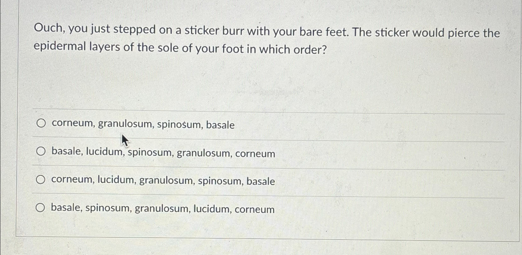 Solved Ouch, you just stepped on a sticker burr with your | Chegg.com