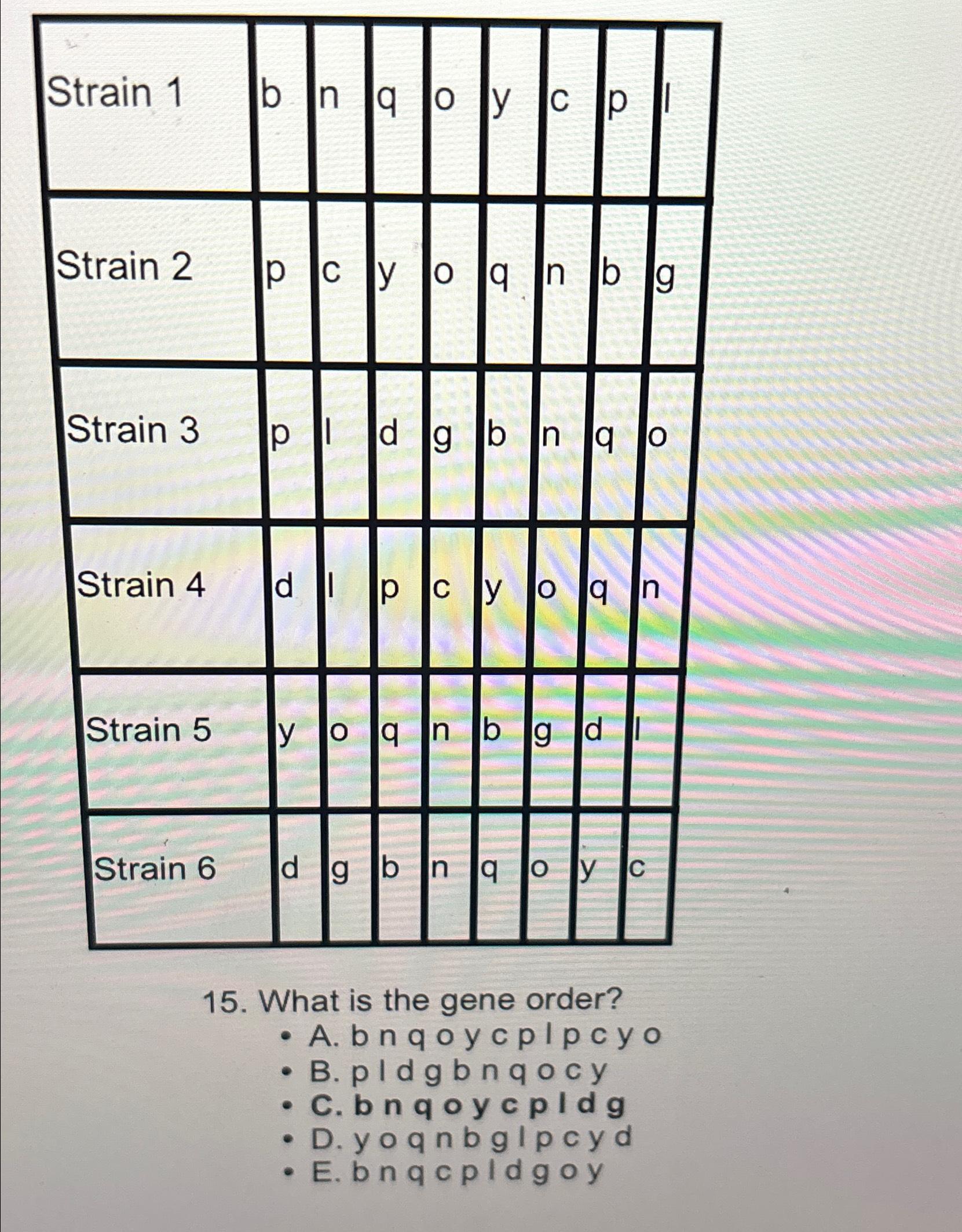 Solved \table[[Strain 1,b,n,q,0,y,c,p,],[Strain | Chegg.com