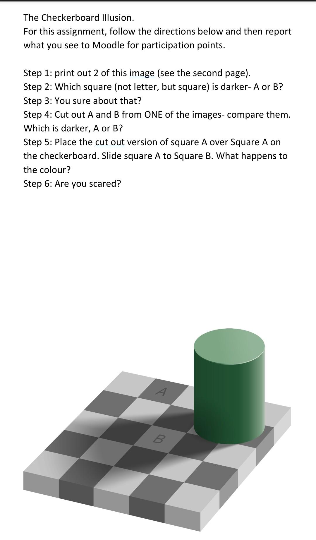 Solved The Checkerboard Illusion. For this assignment, | Chegg.com